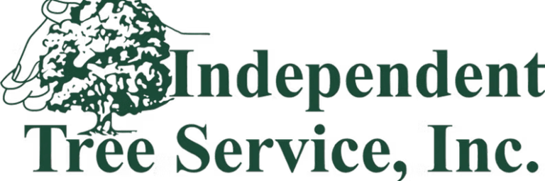 Certified Tree Services in Tampa | Independent Tree Service